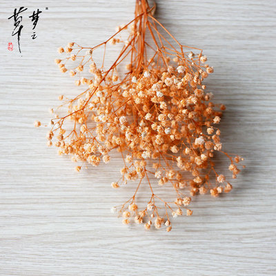 极速满天b星永生花 花材家居插花花束100gDIY大量材料云南直发