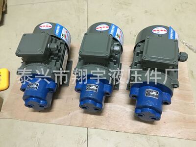 CB-B4/CB-B6/CB-B10金属带锯床齿轮油泵/TYB插入式齿轮油泵组