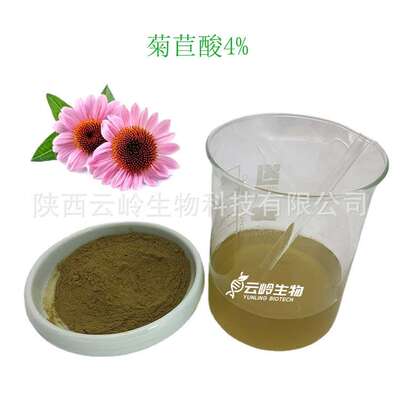 水溶菊苣酸4%HPLC紫锥菊提取物Echinacea purpurea chicoric acid