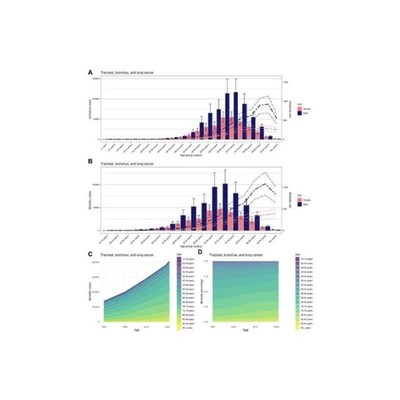GBD nhanes CHARLS MIMIC MR数据库代分析可全包医学sci生信分析