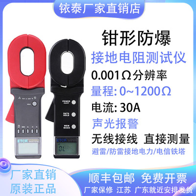 速发钳形接地测试仪ETCR2000A/检+/C防爆A测防雷款ETCR2000B+