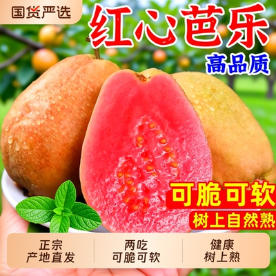 芭乐大果软糯甜|超6000次加购