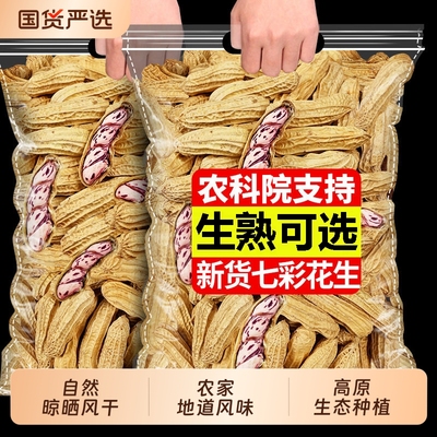 云南七彩花生农科院新货晒干带壳生熟彩色牛奶花生新鲜坚果休零食