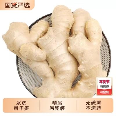 山东大姜优质水洗风干姜网兜装