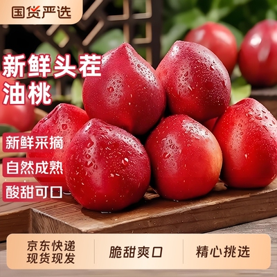 山东黄心油桃头茬应季水果脆硬软爆双口感爆汁新鲜现摘桃子包邮