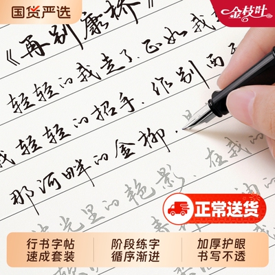 行楷字帖成人练字本|101人收藏