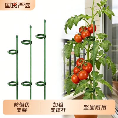 西红柿番茄辣椒支撑杆花支撑架