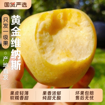 【维纳斯苹果9斤限购】果皮轻薄