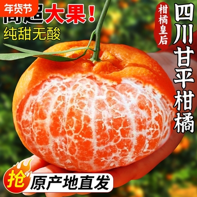 正宗四川甘平柑橘皇后小金牛当季现摘新鲜水果耙耙柑粑粑丑橘子甜