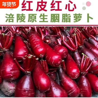 【萝卜已老起步空心介意慎拍】正宗涪陵新鲜红皮红心胭脂萝卜产地