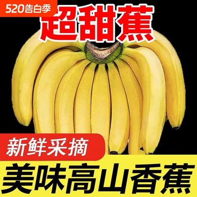 大香蕉优质青皮高山现摘香蕉正宗新鲜甜糯水果当季薄皮整箱包邮