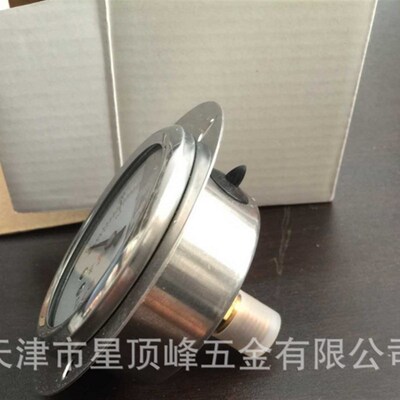 轴向带边耐震压力表YN60ZT液压油压气压水压注塑机压力表0-1.6MPA