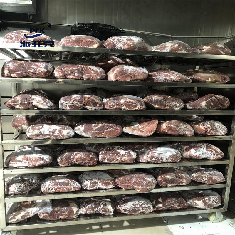 羊酮体冻鸽子冻盘缓化 机设备牛羊肉解冻解库 类海813产品肉冻机