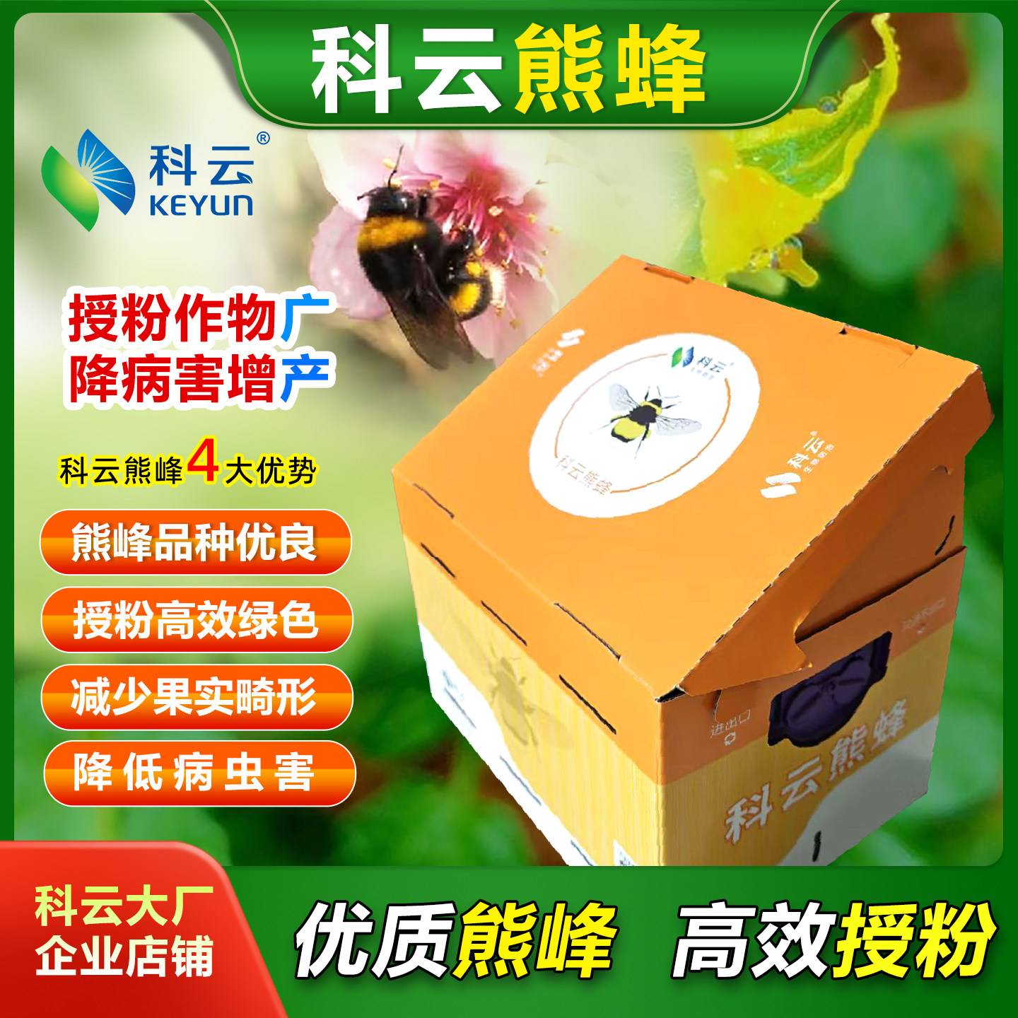 科云熊蜂自然授粉熊蜂带王优选高活性群番茄蓝莓草莓等用顺丰包邮