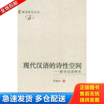 正版库存书现代汉语的诗性空间：新诗话语研究 9787301083574 张桃洲著 北京大学出版社