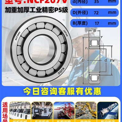日本进口XUDZ圆柱滚子轴承NCF202 203 204 205 206 207 208 209 V