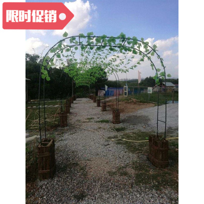 极速simple outdoor wrought iryon arch flower stand vine fram