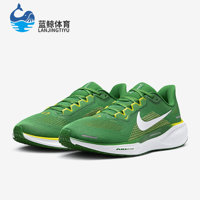 Nike/耐克正品Pegasus 41男士低帮运动减震耐磨跑步鞋FZ5138-300