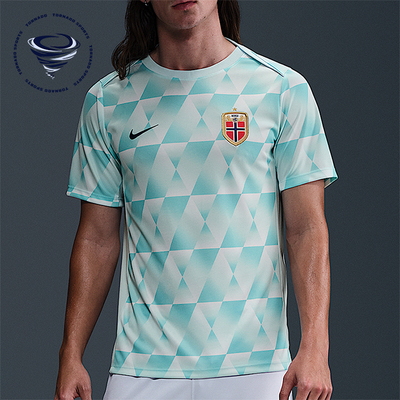Nike/耐克正品男士吸汗排汗修身足球运动短袖T恤FZ9713-474