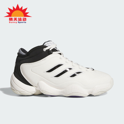 Adidas/阿迪达斯正品三叶草CRAZY3SHOES男士经典街头运动鞋JR9681