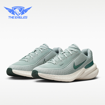 Nike/耐克正品男士经典耐磨缓震低帮运动跑步鞋IB2765-012