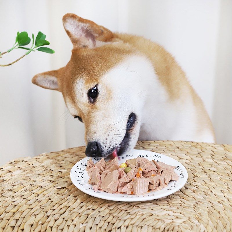 新品地狱a厨房狗零食狗餐盒犬罐头宠物零食狗狗湿粮包营养鲜食餐