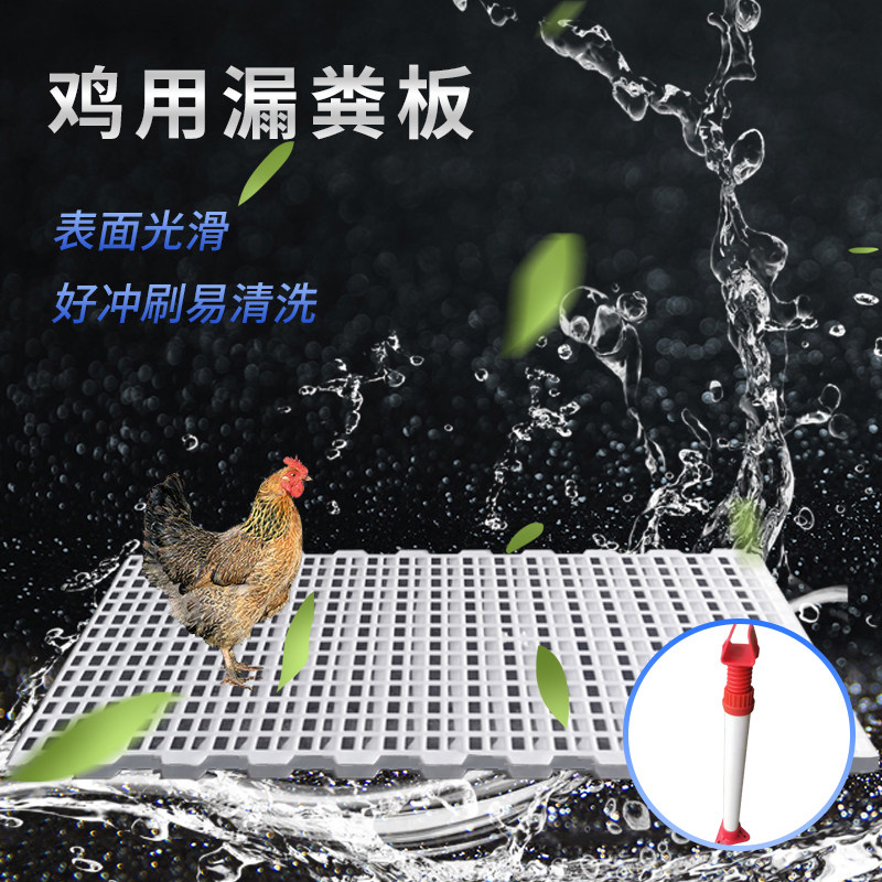 新品漏粪板鸡用鸡笼鸡粪鸽舍塑料漏粪板J养小鸡鸭鹅漏粪网养殖专