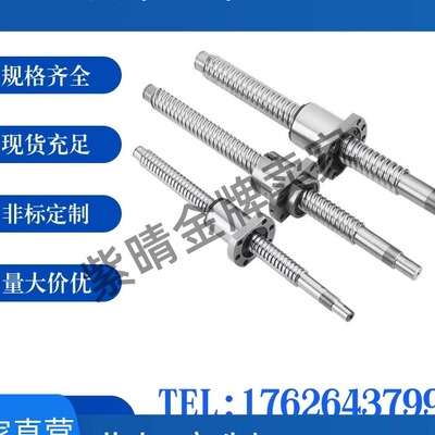 滚珠丝杠丝杆BSX BSS0802 1002 1004 1202 1205 1210 1516