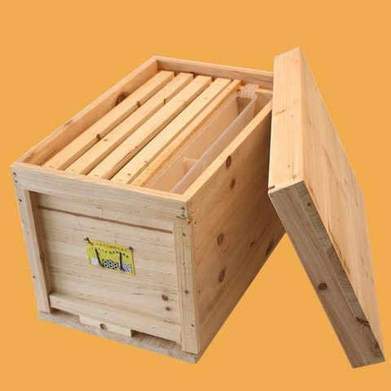 新品蜂箱蜜蜂中蜂箱全套煮蜡杉木蜜峰箱诱蜂桶新T款养蜂专用工具3