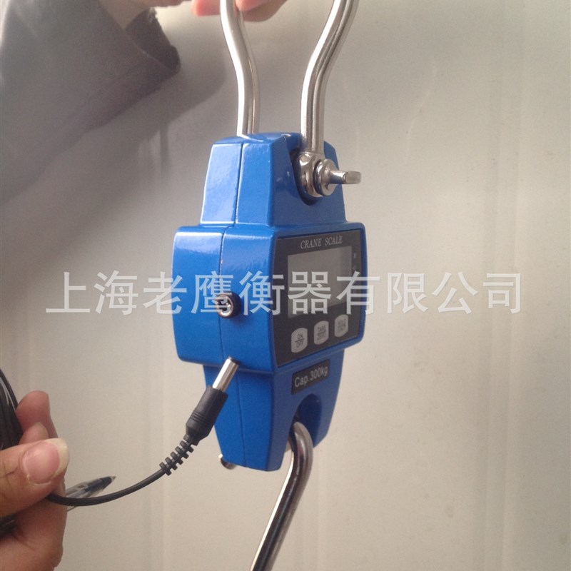 上海100-300kg高精度便携电子吊钩秤磅电子小吊秤手提拉力计