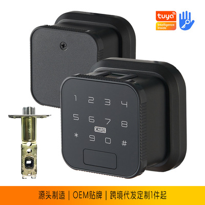TuyaTTlock木门球形指纹锁