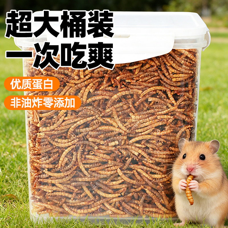 花枝鼠面包虫干仓鼠金丝熊虫干零食粮食鼠类专用饲料宠用口粮用品