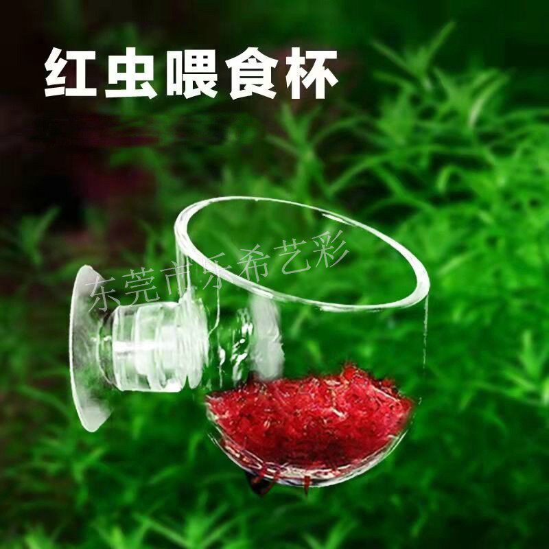 鱼儿喂食器鱼缸红虫杯线虫杯透明血虫喂食杯鱼缸造景杯带吸盘壁挂