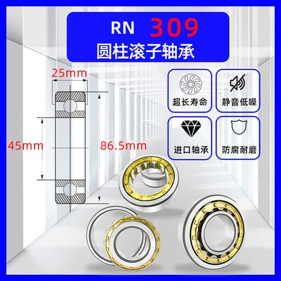 圆柱滚子轴承大全 RN306 307 308 309 310 312 313 328 -EM