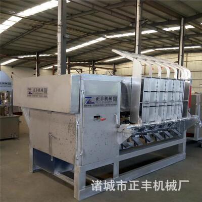 厂家定生猪屠宰脱毛zf-zpm-1设备肥制猪打毛脱毛机 全自动整刨猪