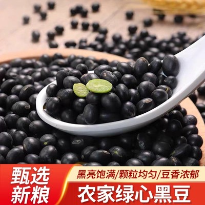 【25年新货】东北绿芯黑豆农家绿芯发芽豆浆五谷杂粮豆芽绿心豆浆