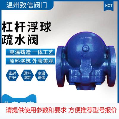 杠杆浮球疏水阀 蒸汽疏水阀 FT4/44H/W-16C/P 法兰不锈钢04 DN