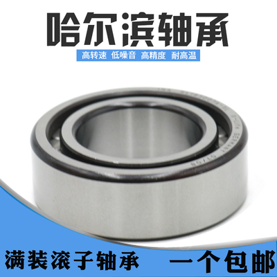 满装圆柱滚子轴承SL04/NNF 5030PP 5032PP 5034PP 5036PP哈尔滨