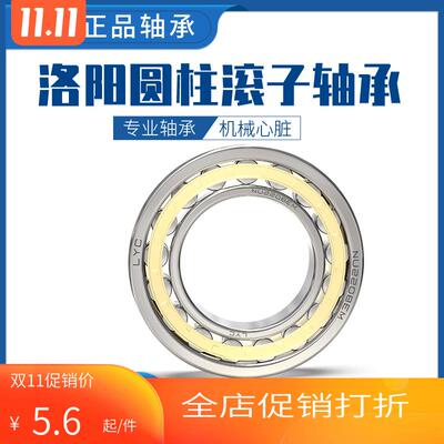 洛阳LYC减速机偏心轴承RN205 206 204 307 309 207 312 219 222M