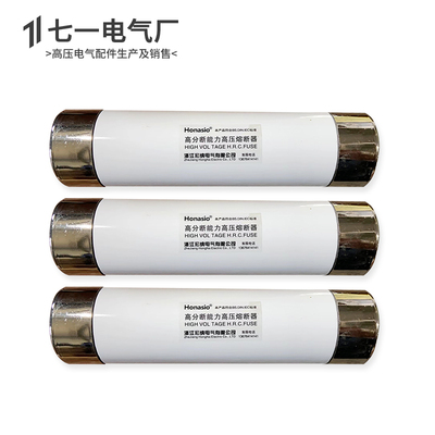 50x195 XRNP1高压熔断器保险熔管PT电压流互感器XRNT 6.3A 10安16