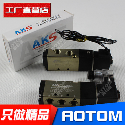 。气动电磁阀二位五通电磁阀4V110-06 220V DC24V12V艾克斯AKS气