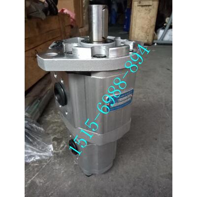 合肥集源液压双联齿轮油泵CBQT-E563/F432-AFPL CFHL合肥液压油泵