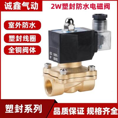 4分室外防水防雾电磁水气阀 DN15控制开关阀6分1寸220V24VDN40 50