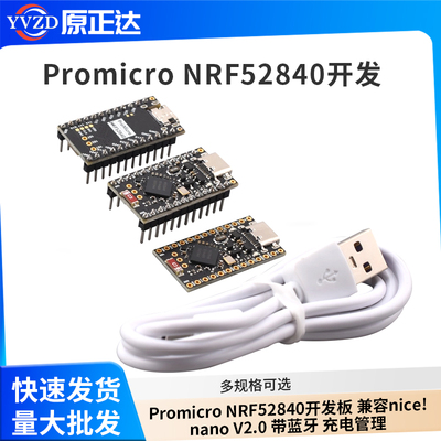 PromicroNRF52840开发板