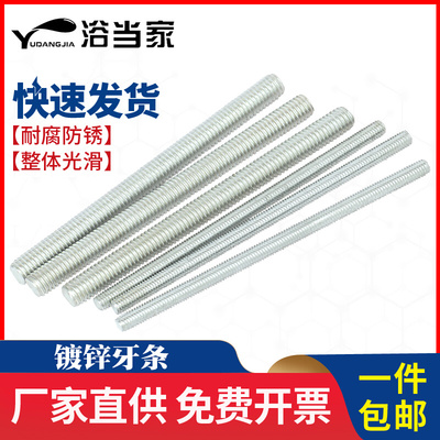 。镀锌牙条 丝杆通丝全螺纹螺杆全牙螺丝杆大全1米M6M8M10M12M14M