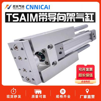 带导向支架气缸TSAIM/TSAIL32/40/50/63/80/100X200X250X300X500S