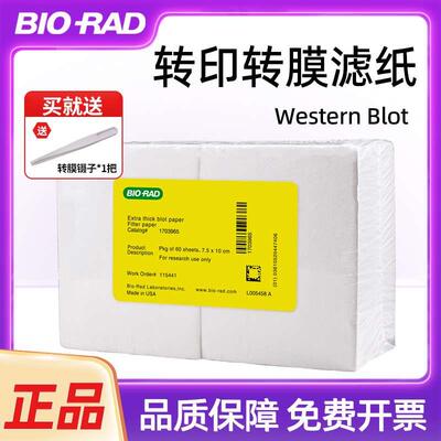 Western blot转膜转印湿转厚滤纸1703965/1703932bio-rad天能六一