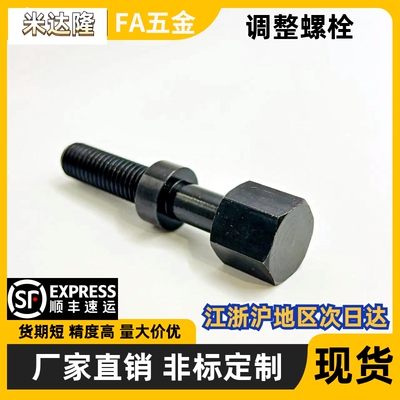 调节螺栓碳钢发黑PAY01