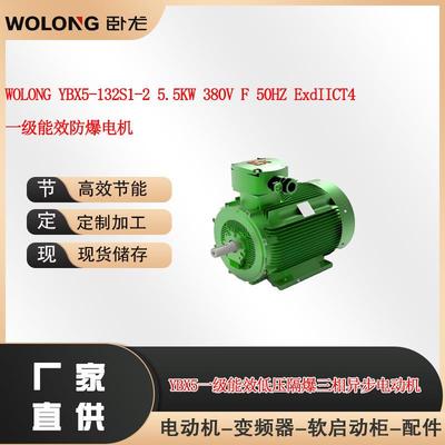WOLONG YBX5-132S1-2 5.5KW ExdIICT4 一级能效防爆电机