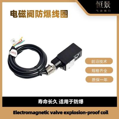 YT131-9系列防爆线圈FB-265防爆电磁阀CT4/4V210 310 410防爆证书